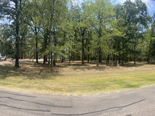 146 St Andrews Dr, Mabank, TX 75156