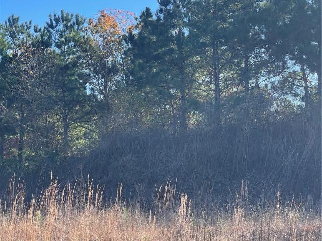 146 Road 5702