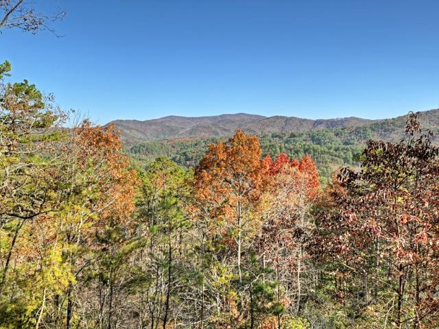 146 Rosiey Ln, Blue Ridge, GA 30513 | MLS #420964