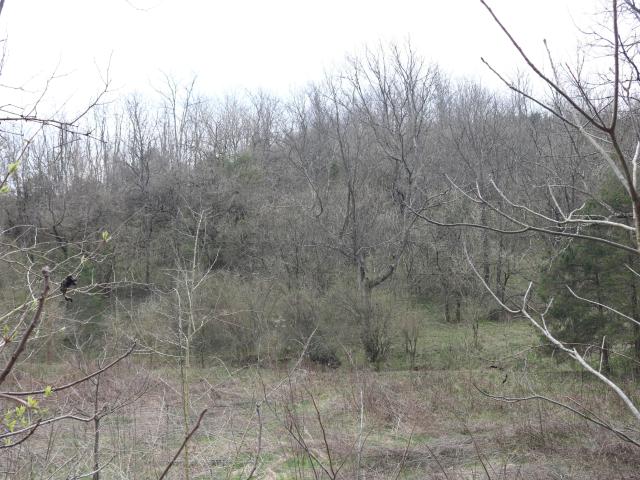 1475 Saltwell Headquarters Road