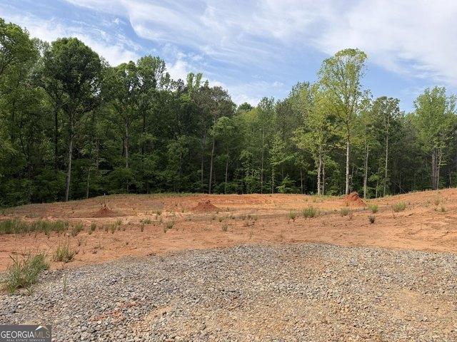 1476 English Rd, Forsyth, GA 31029
