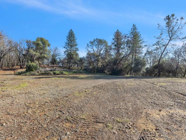 14776 La Place Ln, Brownsville, CA 95919 | MLS #226004