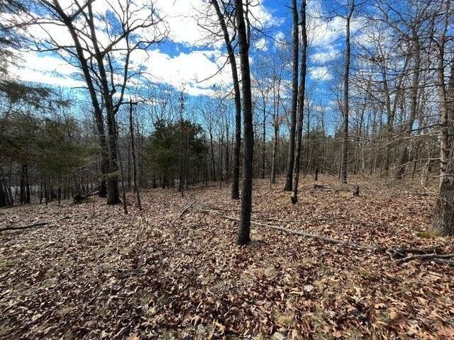 1479 Antioch Rd, Cave City, AR 72521