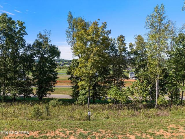 1479 Black Cove Lane