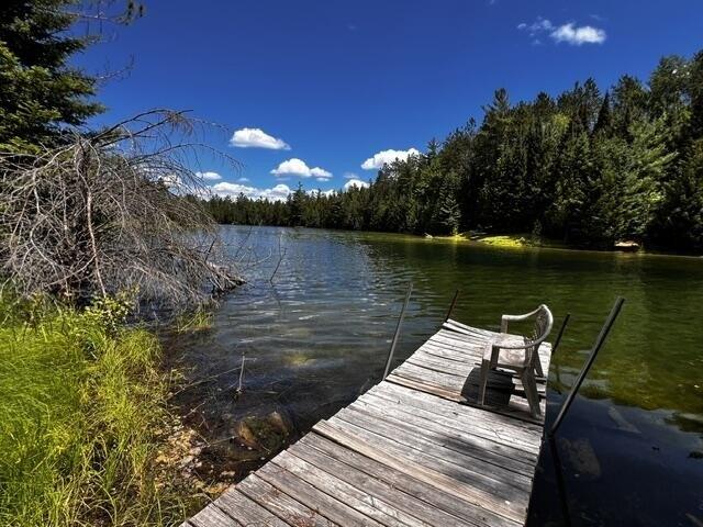 14703 E Shoreline Dr Lot 38, Wolverine, MI 49799