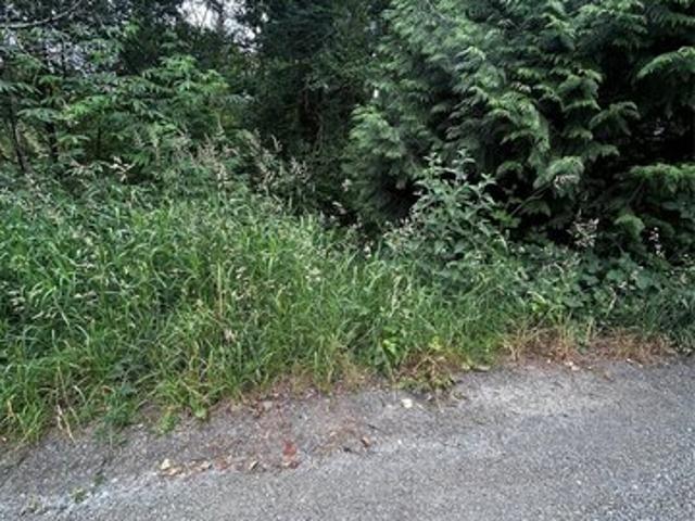 14701 NE 223rd Ave, Woodinville, WA 98077