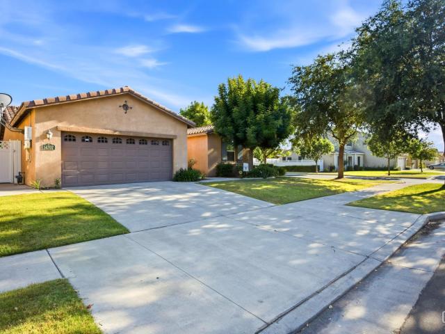 14707 Coneflower Drive