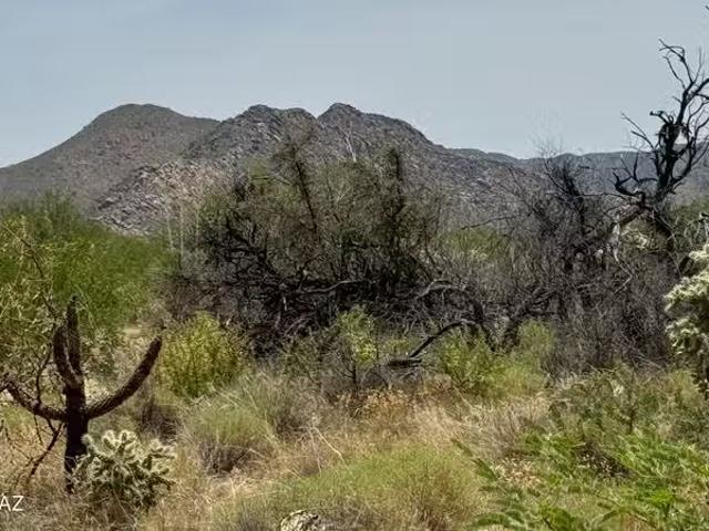 14707 Crestwood St #194, Tucson, AZ 85736 MLS 22414929