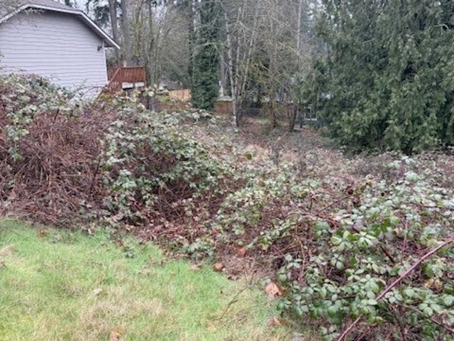 14708 SE 145th Pl, Renton, WA 98059 | MLS #2555