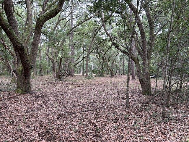 1470 Marsh Bluff Ct, Edisto Island, SC 29438