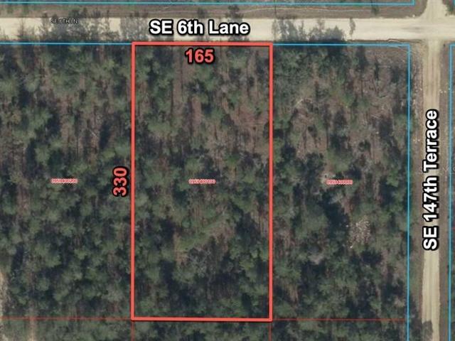 14710 SE 6th Ln, Williston, FL 32696