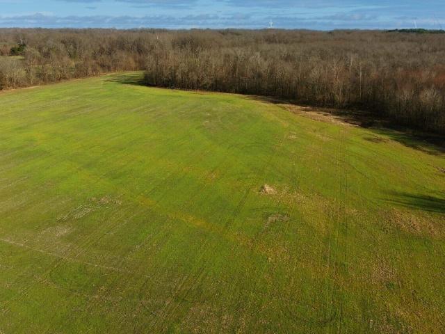 1471 Douglas Loop, Stanton, TN 38069 | MLS #2600