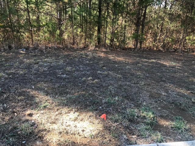147 Cherokee Ridge Drive