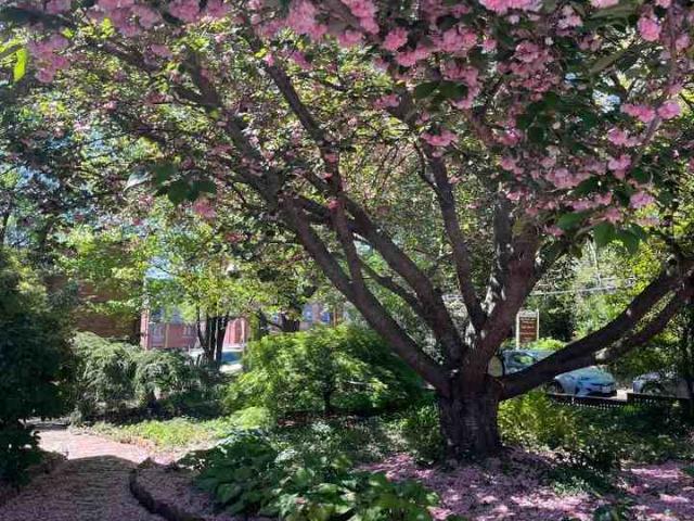 147 E Chestnut 1 Bedroom Apartment for Rent at 147 E Chestnut St, Asheville, NC 28801