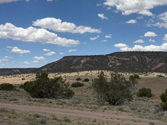 147 Largo Creek Rd, Quemado, NM 87829