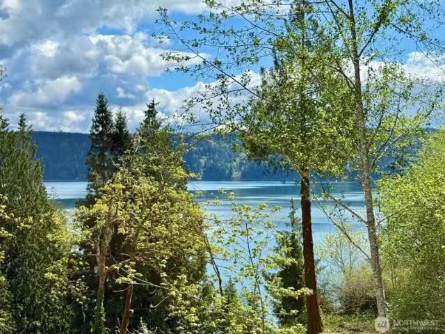 147 N Shar Ln, Lilliwaup, WA 98555 MLS 2363858