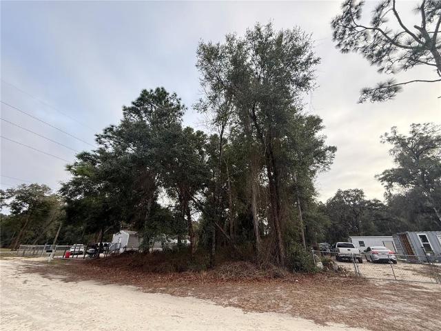 147 SE Place, Summerfield, FL 34491 | MLS #OM716595