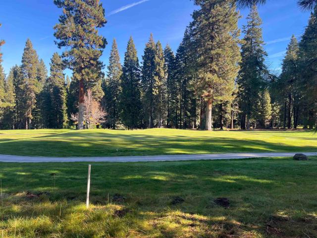 147 Slim Dr, Lake Almanor West, CA 96020 | MLS #20241