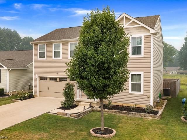 147 Springvale Drive