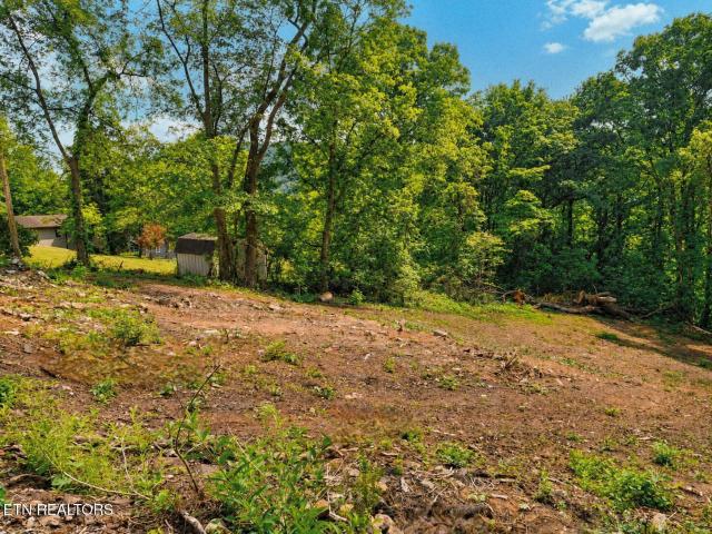 147 Stephens Rd