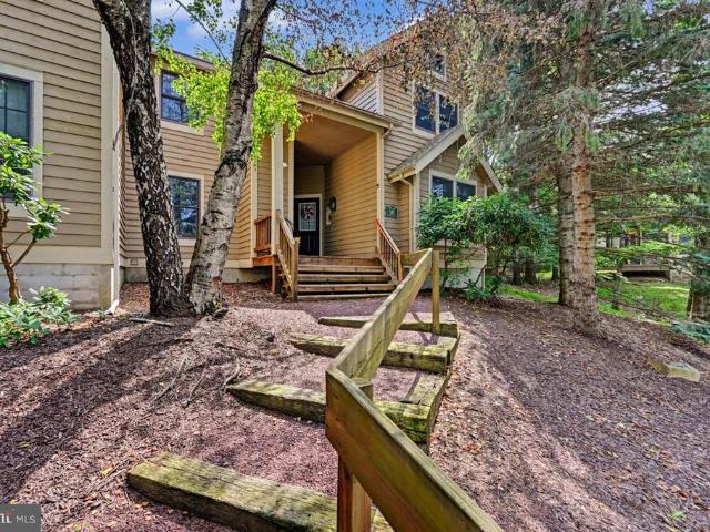 147 Pine Court