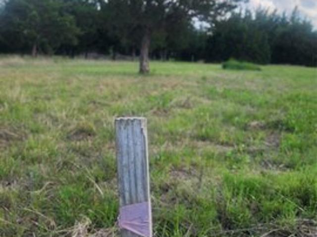 147 W Woodell Dr, Glenn Heights, TX 75154