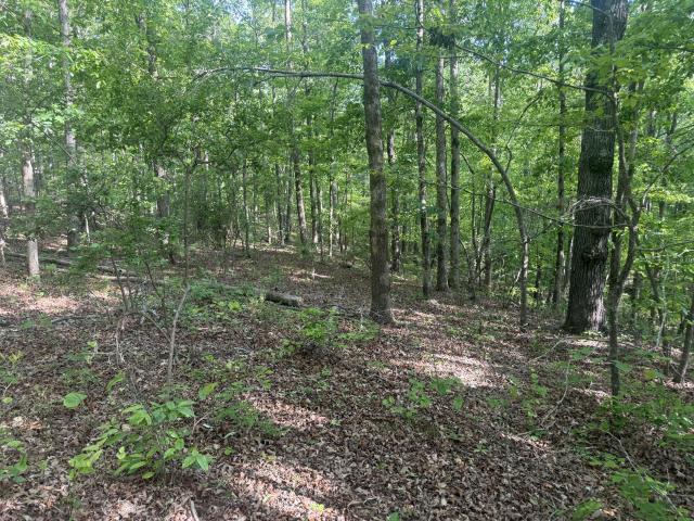 147 Wild Turkey Ct