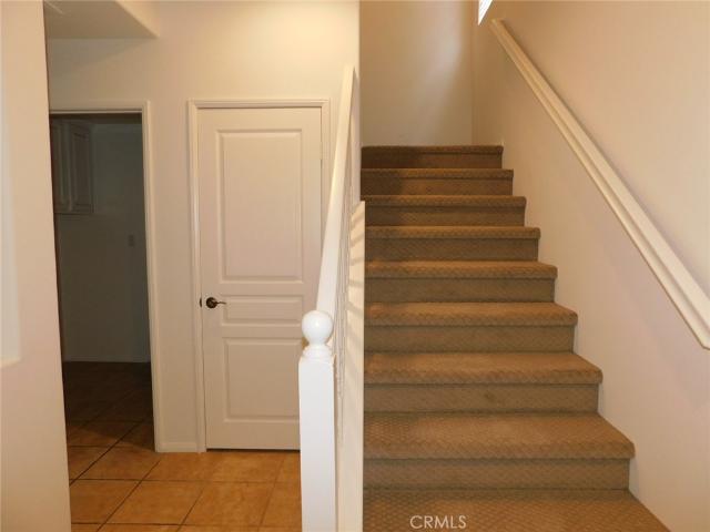 147 Tall Oak