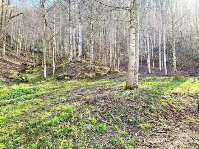 14842 N 226 HWY, BAKERSVILLE, NC 28705 Vacant Land For Sale M.