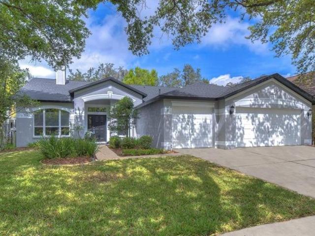 14846 Heronglen Dr, Lithia, FL 33547