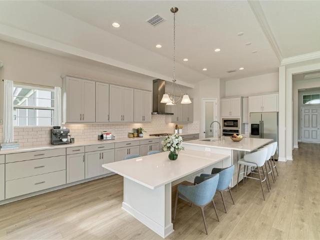 14857 Rider Pass Dr, Lithia, FL 33547 | MLS #TB8474 | Compass