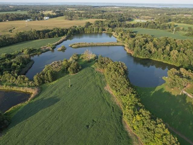 14854 Sesser Lake Rd, Sesser, IL 62884