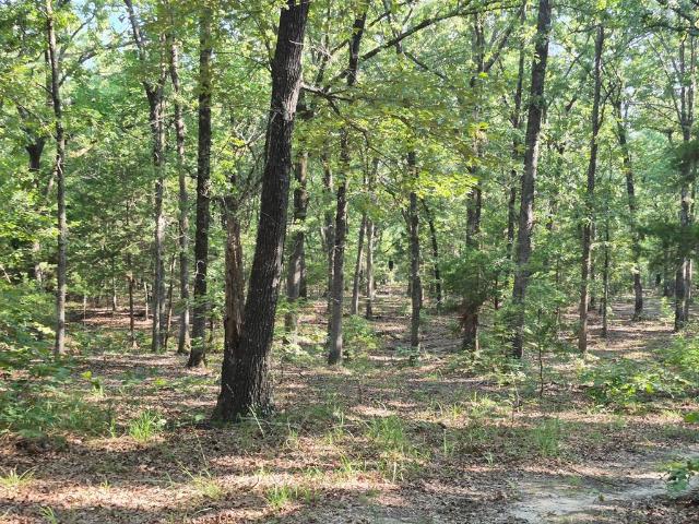 1485 County Road 44550, Paris, TX 75462 | MLS #21197