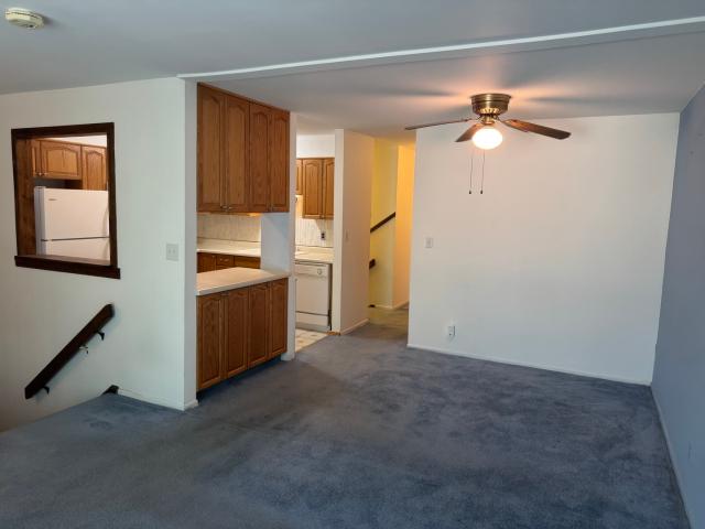 1486 Elder Drive
