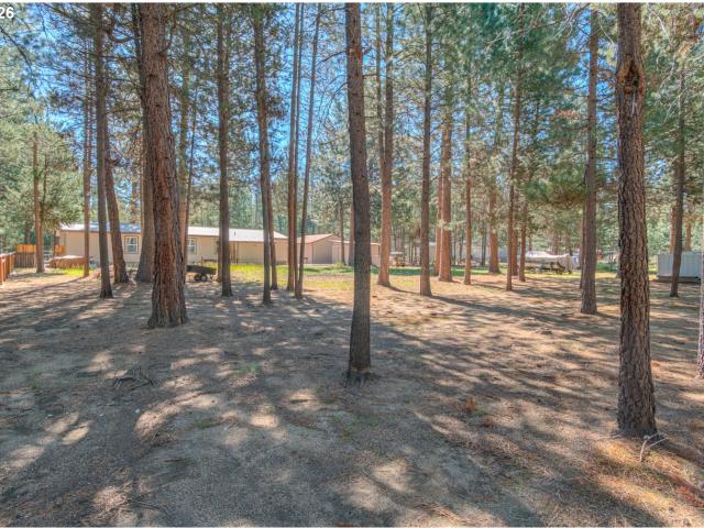 148728 snuffy dr