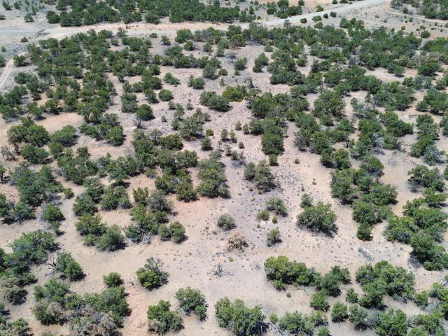 1488 New Mexico 603