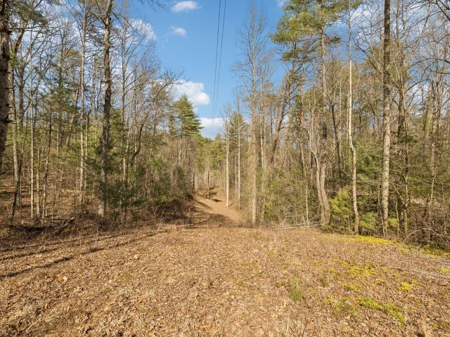 1489 Towee Pike