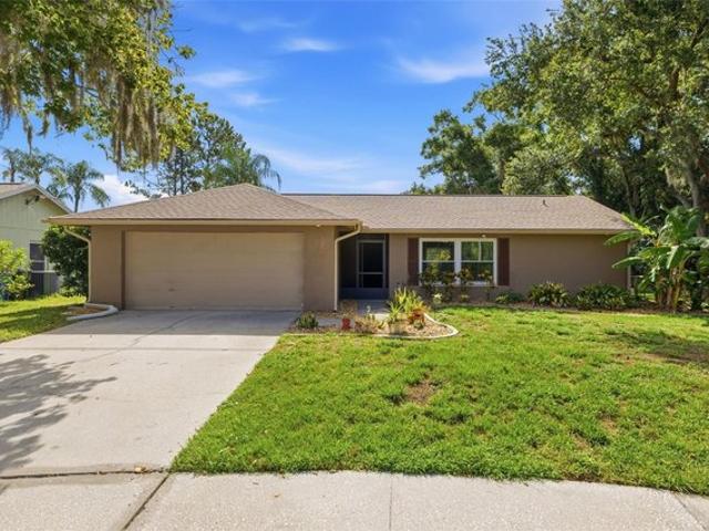 14801 Perriwinkle Pl, Tampa, FL 33625
