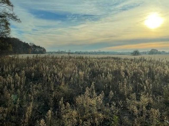 14804 Briar Hill Rd, Ash Township, MI 48117