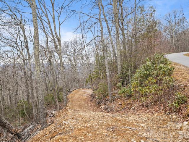 1480 Odalu Trail