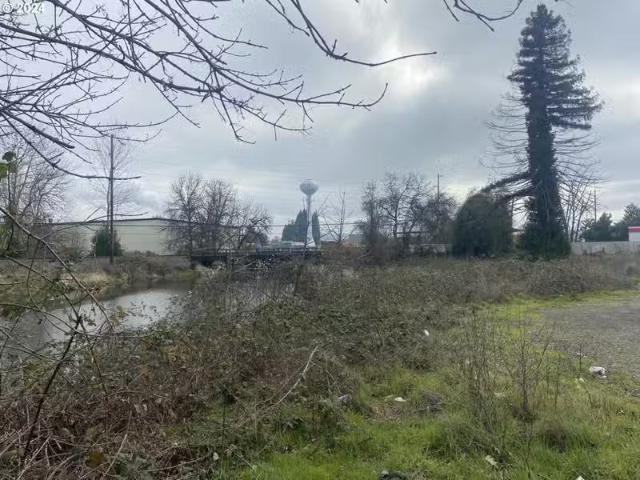 1480 IVY ST, JUNCTION CITY, OR 97448 Vacant Land For Sale MLS.