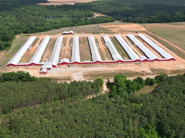 1481 County Road 127, Abbeville, AL 36310