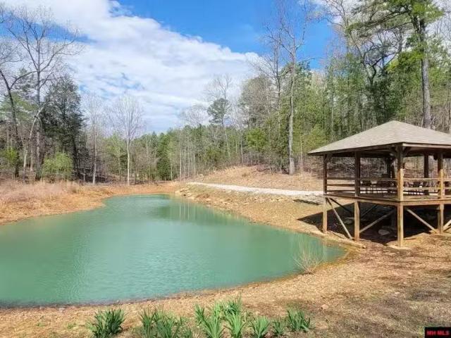 1483 CHESSMOND FERRY RD, CALICO ROCK, AR 72519 Single Family R.