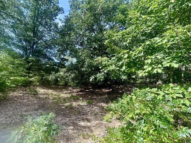 148th Ave, Holland, MI 49424