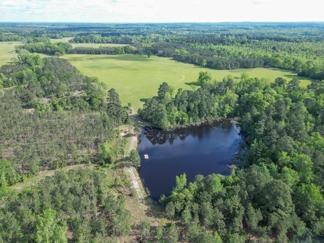 148.5 Ac Fm 995, Atlanta, TX 75551