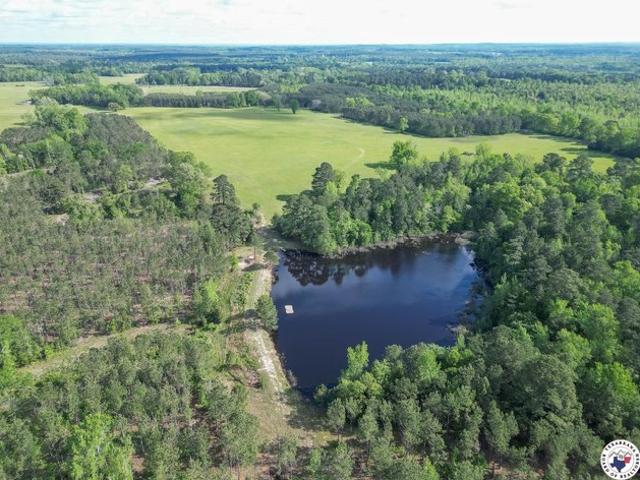 148.5 Ac Fm 995, Atlanta, TX 75551