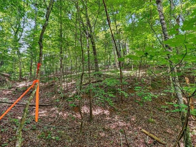 148 Alcan Way Lot 148, Ellijay, GA 30540