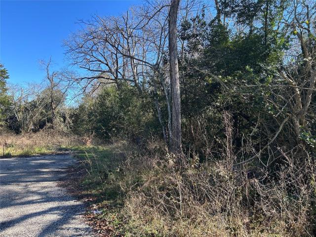 14948 Lot 6 7 Colt Lane