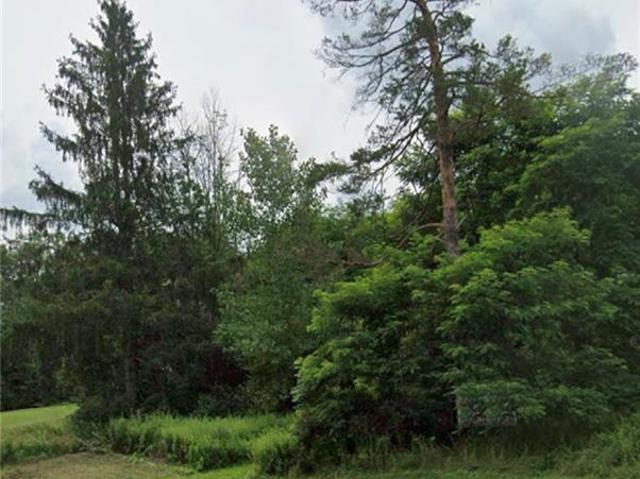 14951 State Route 23, Prattsville, NY 12468 | MLS #493589