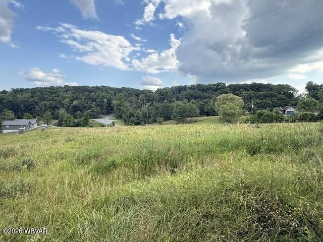 1497 Colvin Rd, Williamsport, PA 17701